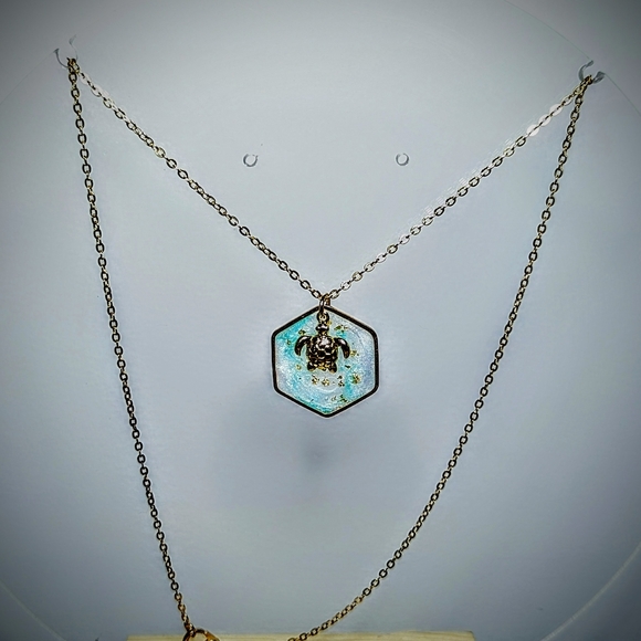 Jewelry | Turtle Charm Hexagon Necklace | Poshmark